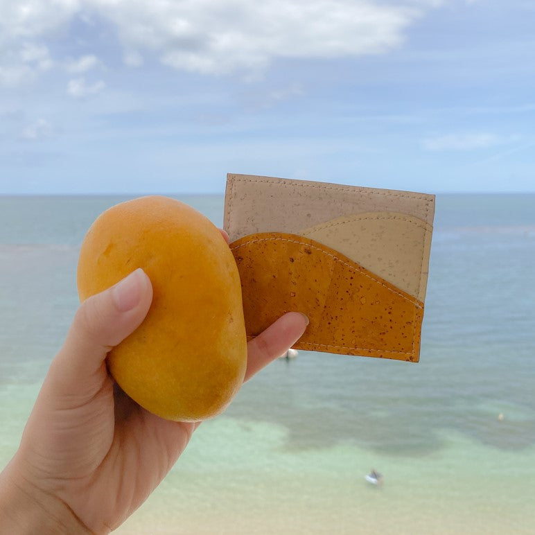 Personal Guide to the West Side of Puerto Rico – Yabisí